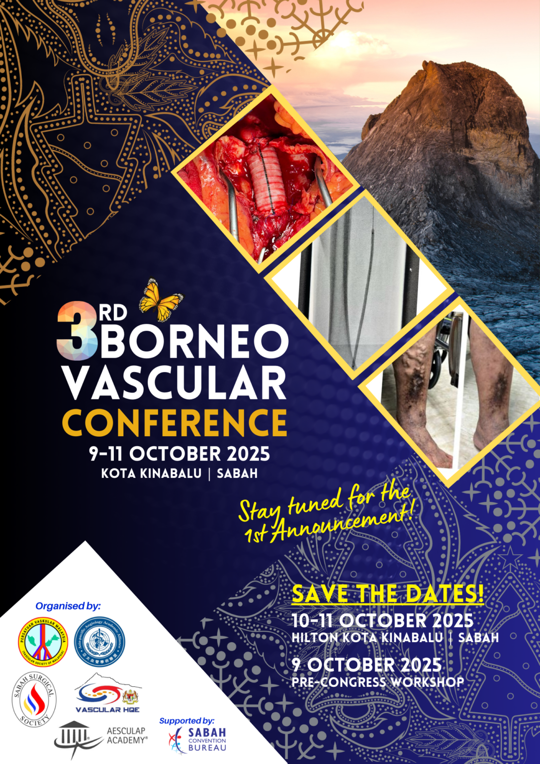 Borneo Vascular Conference 2025 | Vascular Society of Malaysia